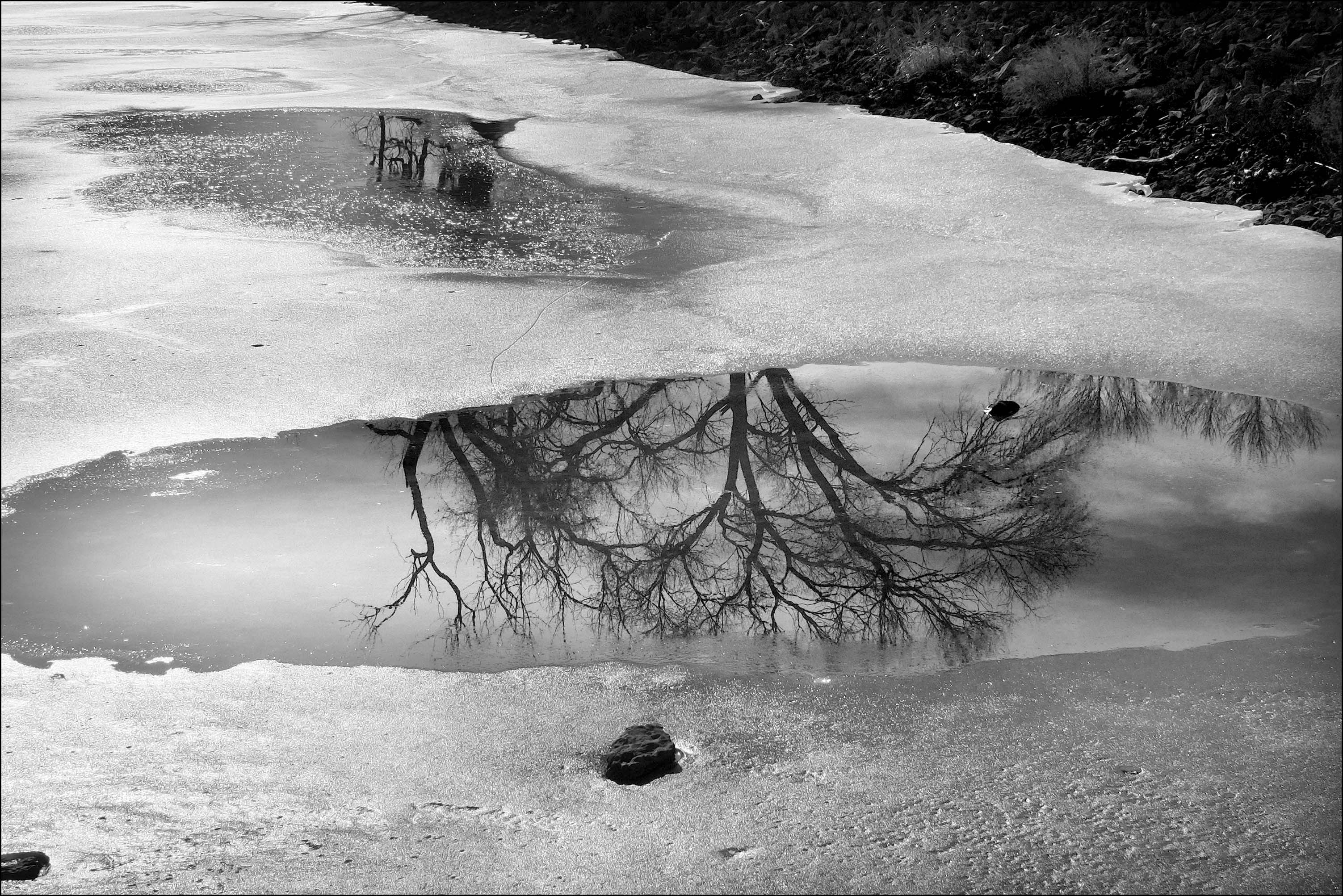 01.11.2023 – Jim Lee Photography