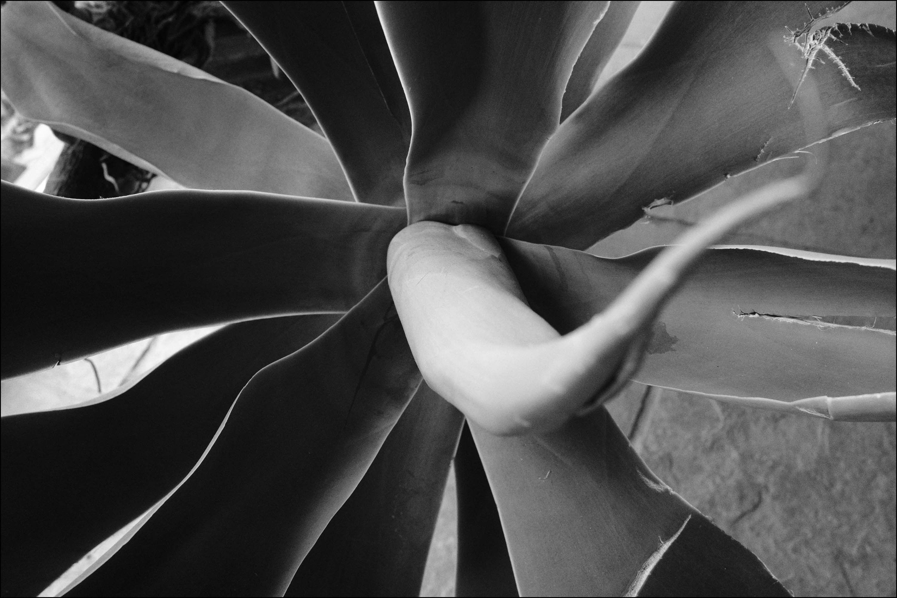 02.04.2023 – Jim Lee Photography