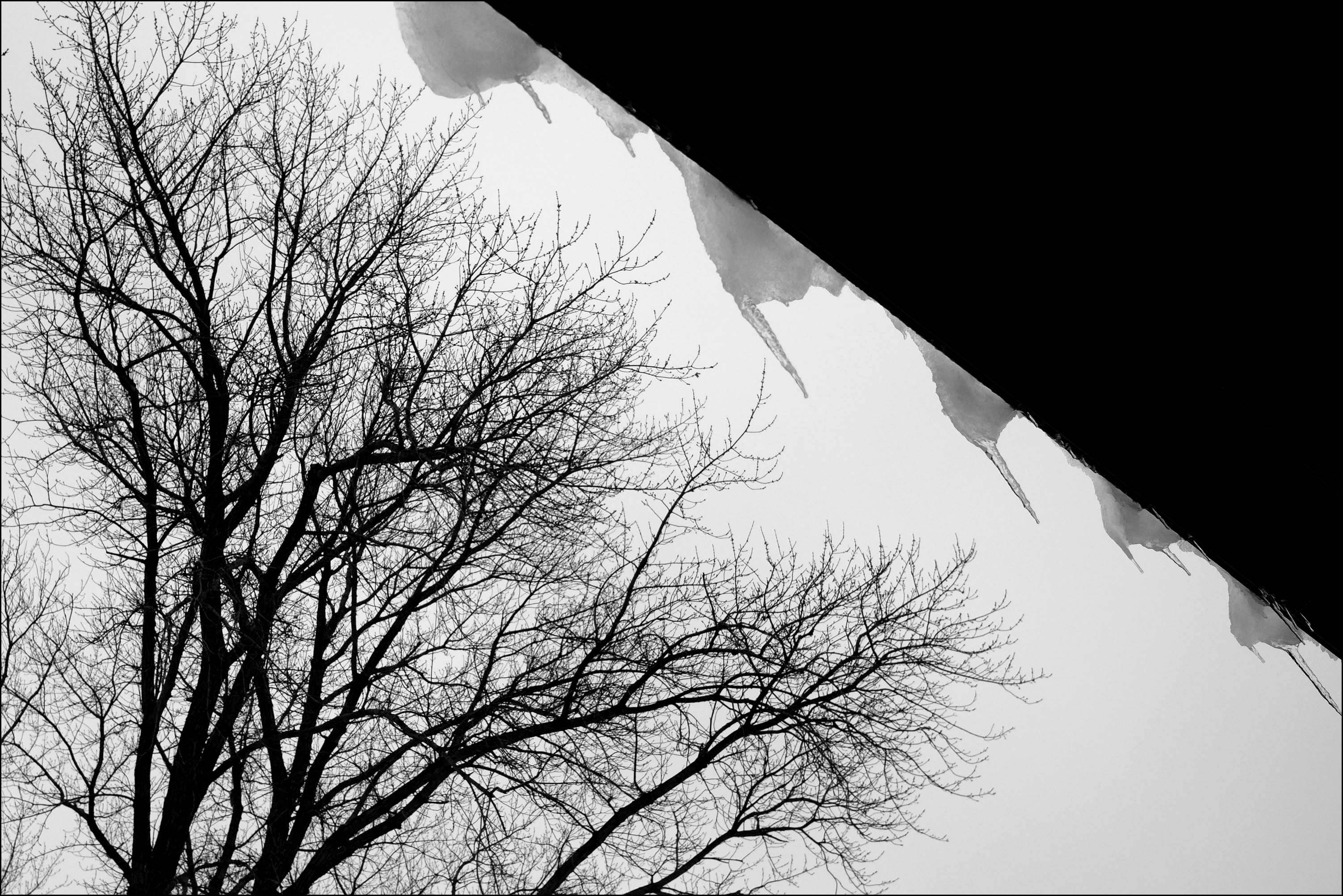 01.21.2023 – Jim Lee Photography