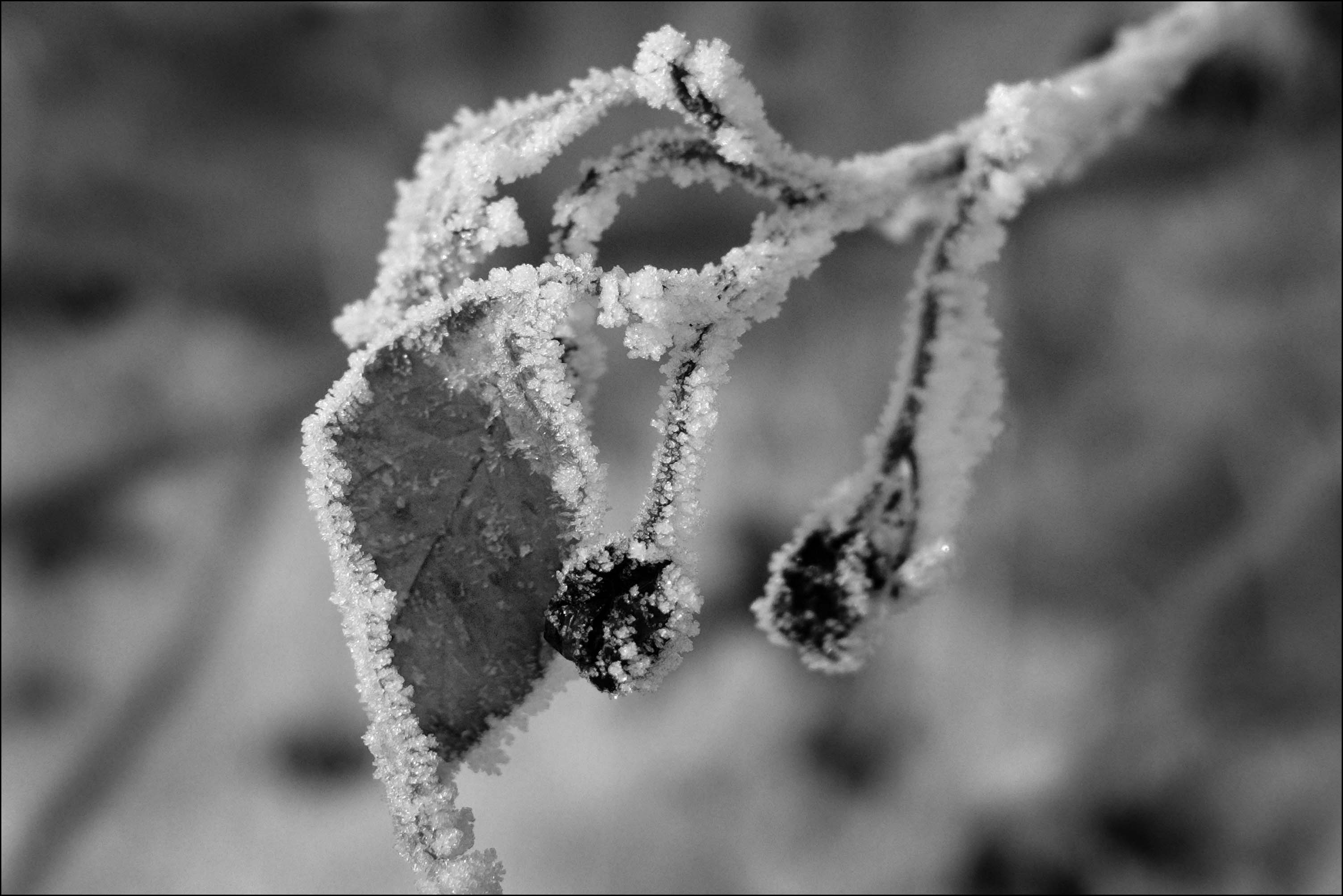 01.25.2023 – Jim Lee Photography