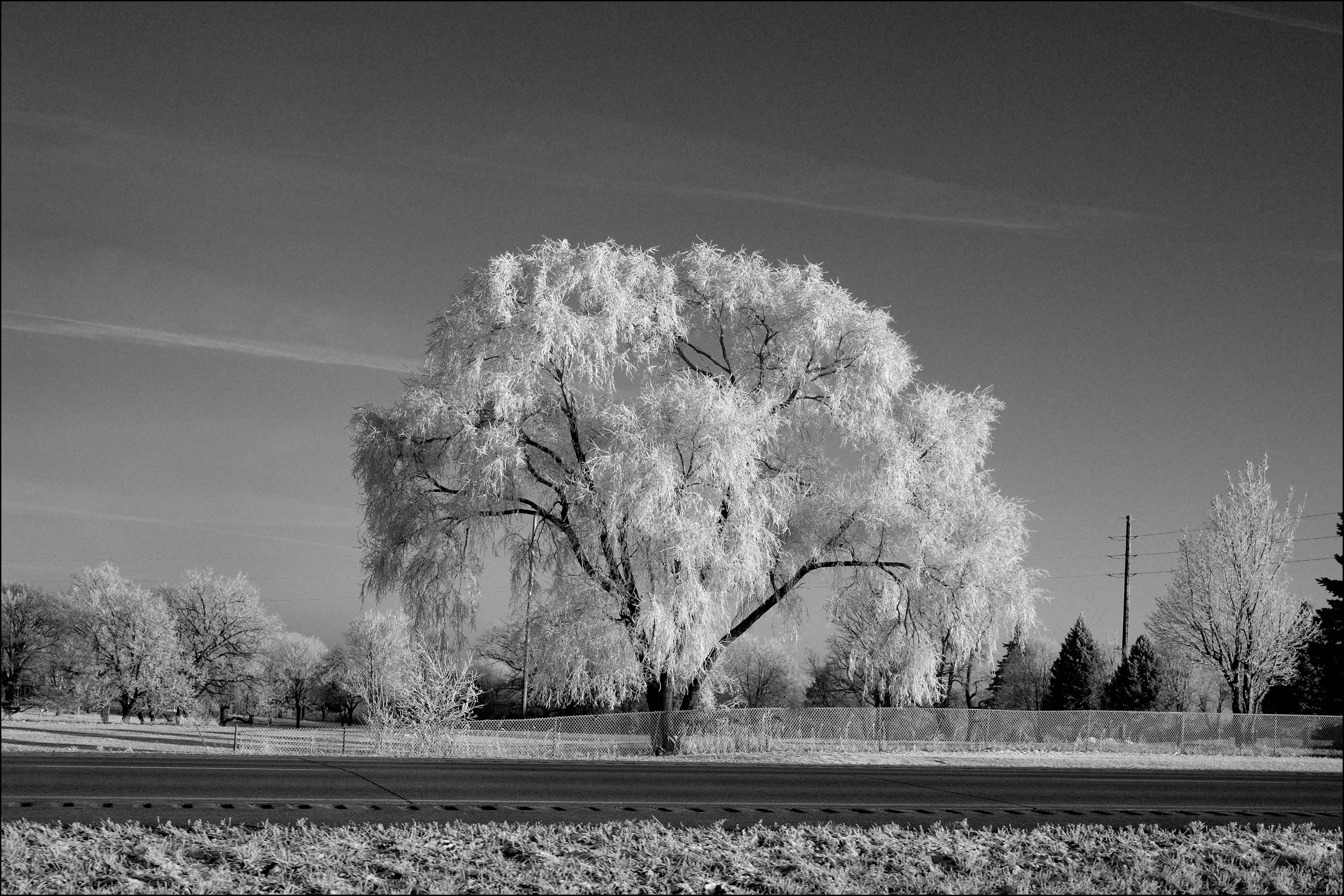 01.23.2023 – Jim Lee Photography