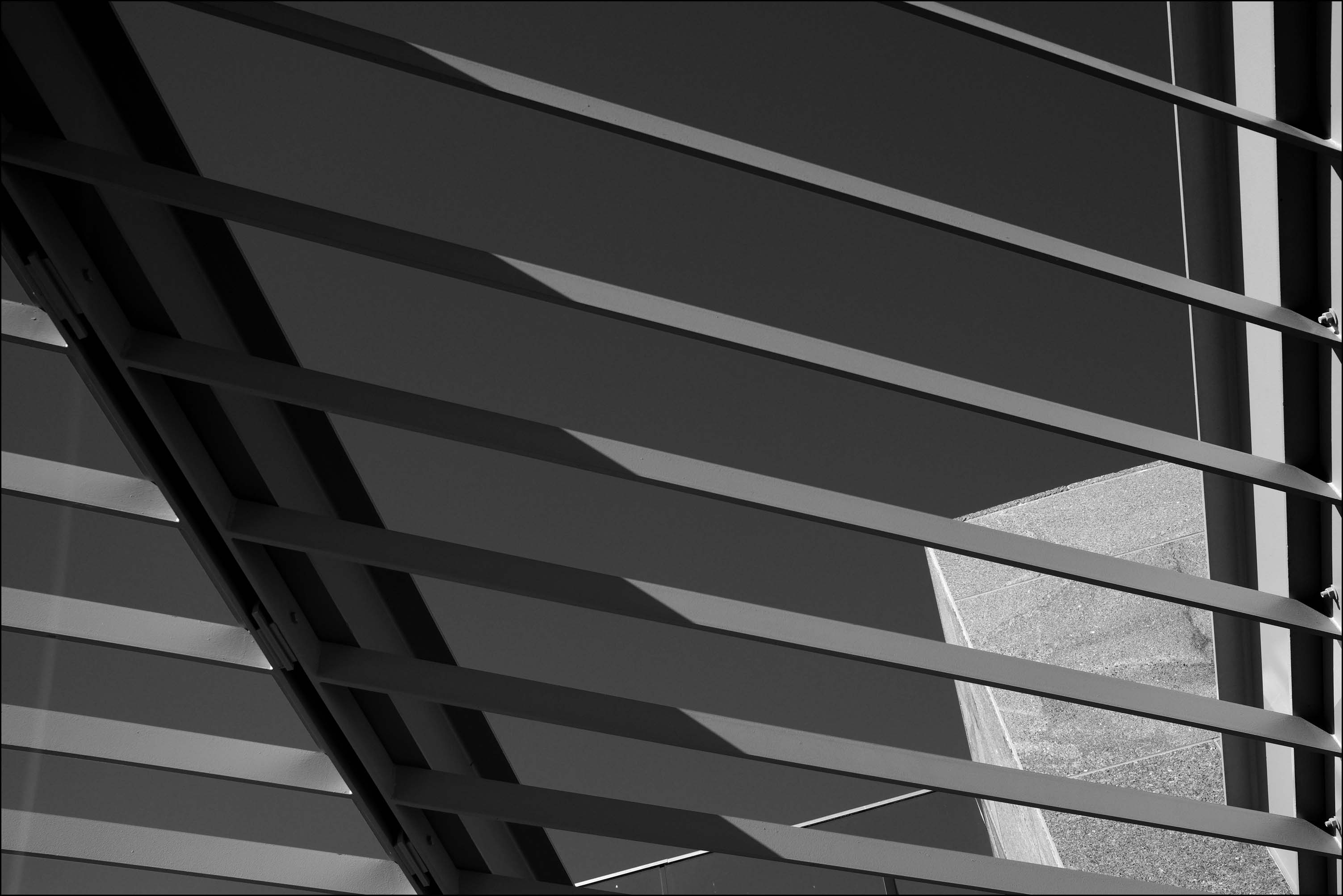 02.02.2023 – Jim Lee Photography