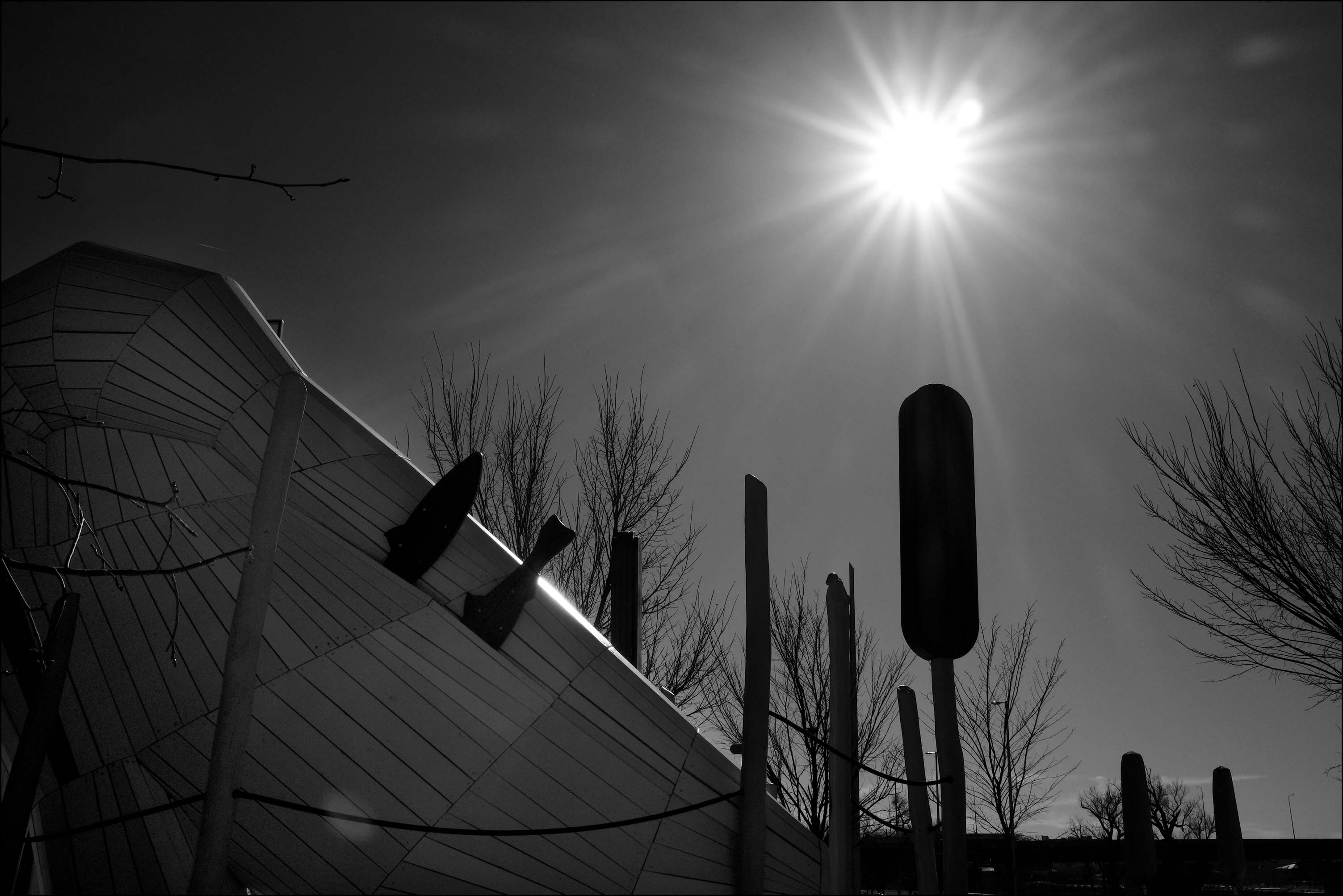 02.08.2023 – Jim Lee Photography