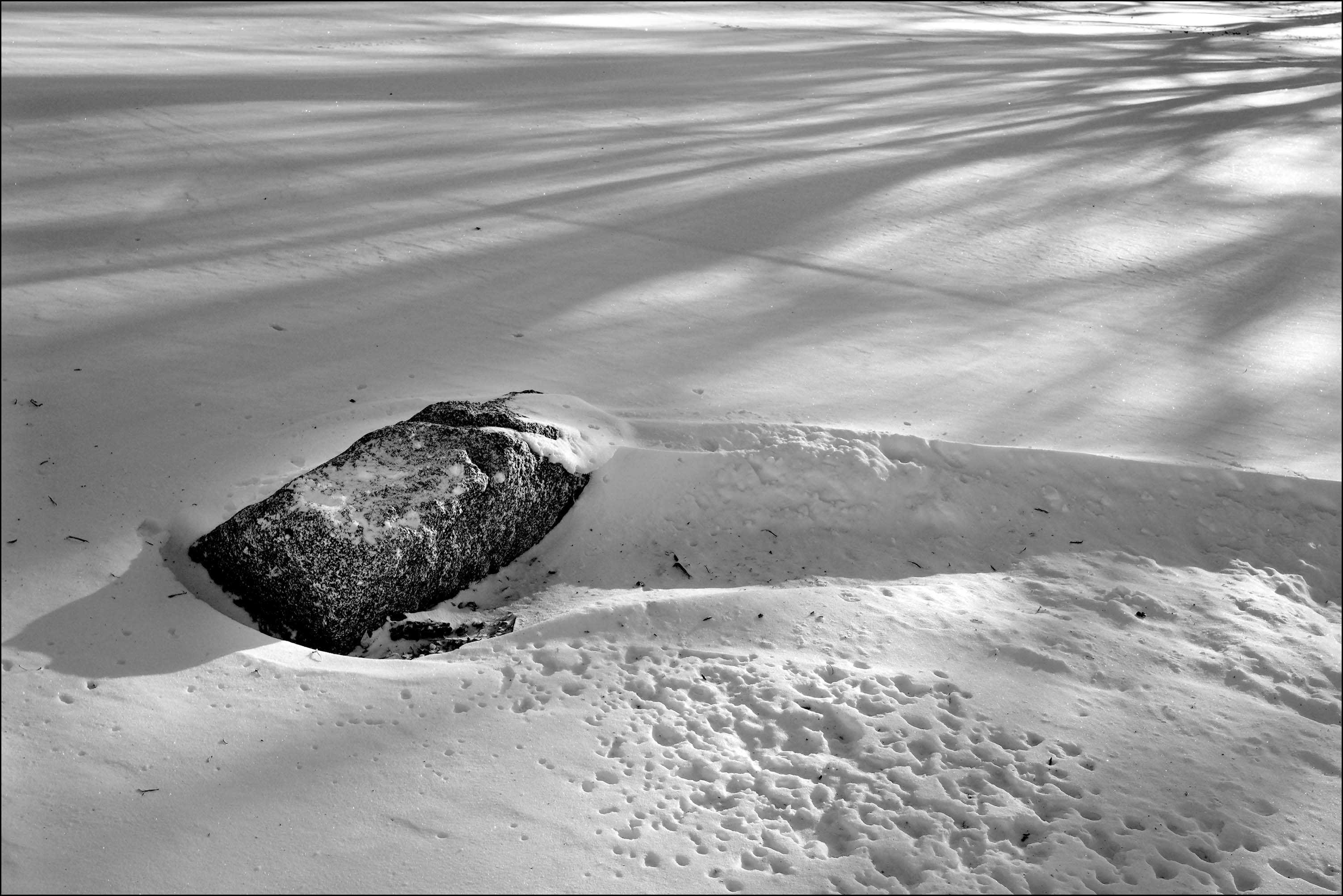 02.20.2023 – Jim Lee Photography