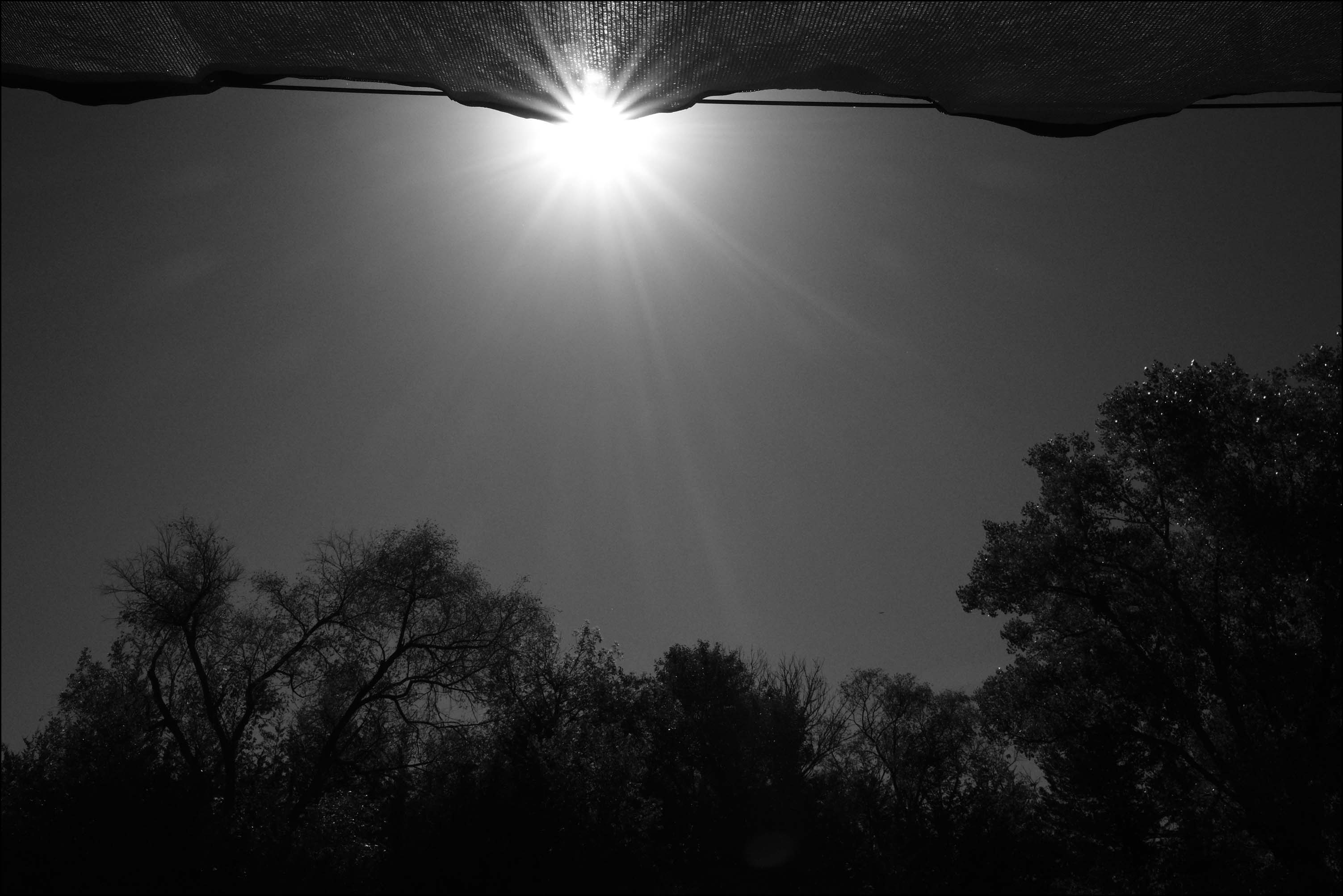 03.14.2023 – Jim Lee Photography