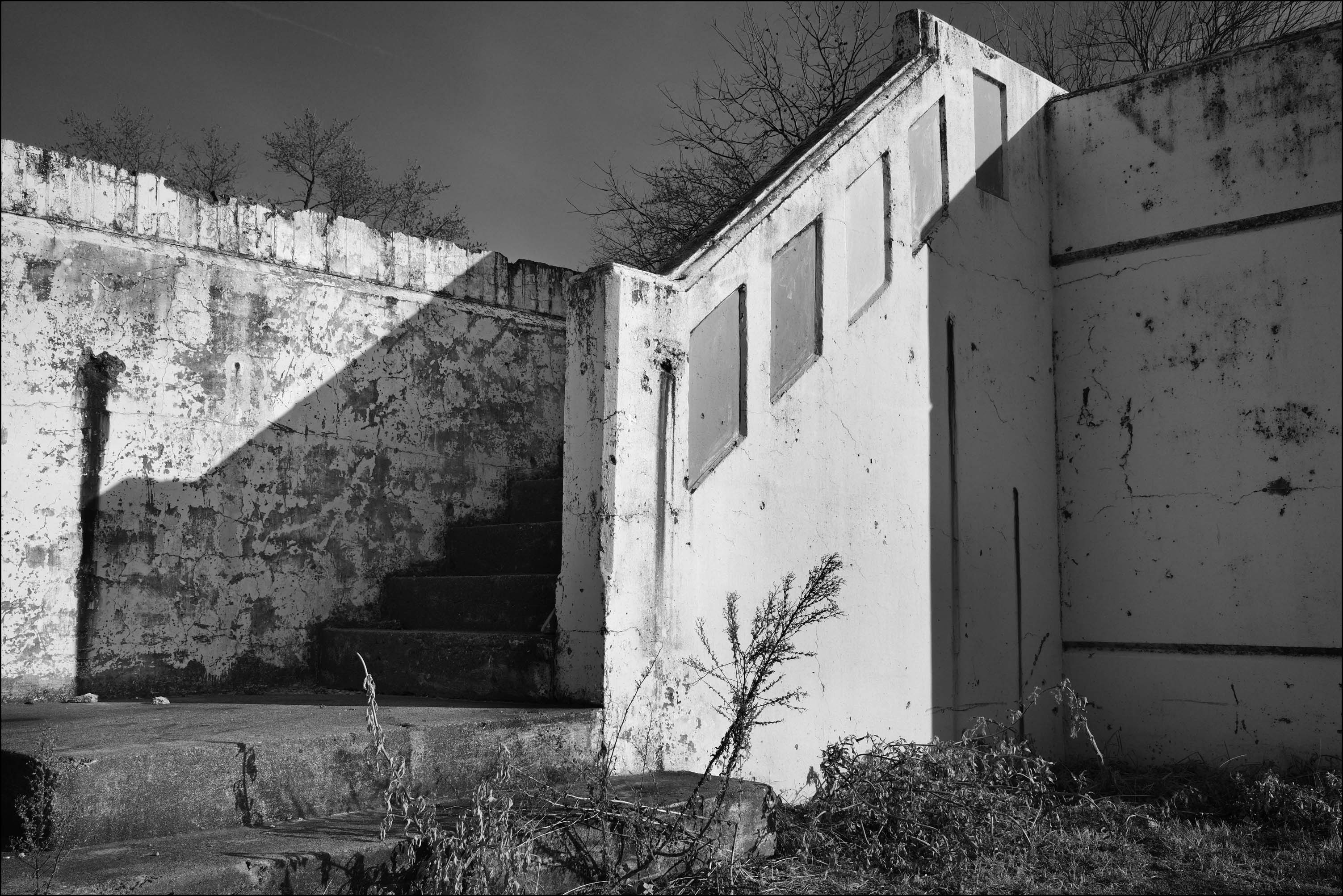 03.30.2023 – Jim Lee Photography