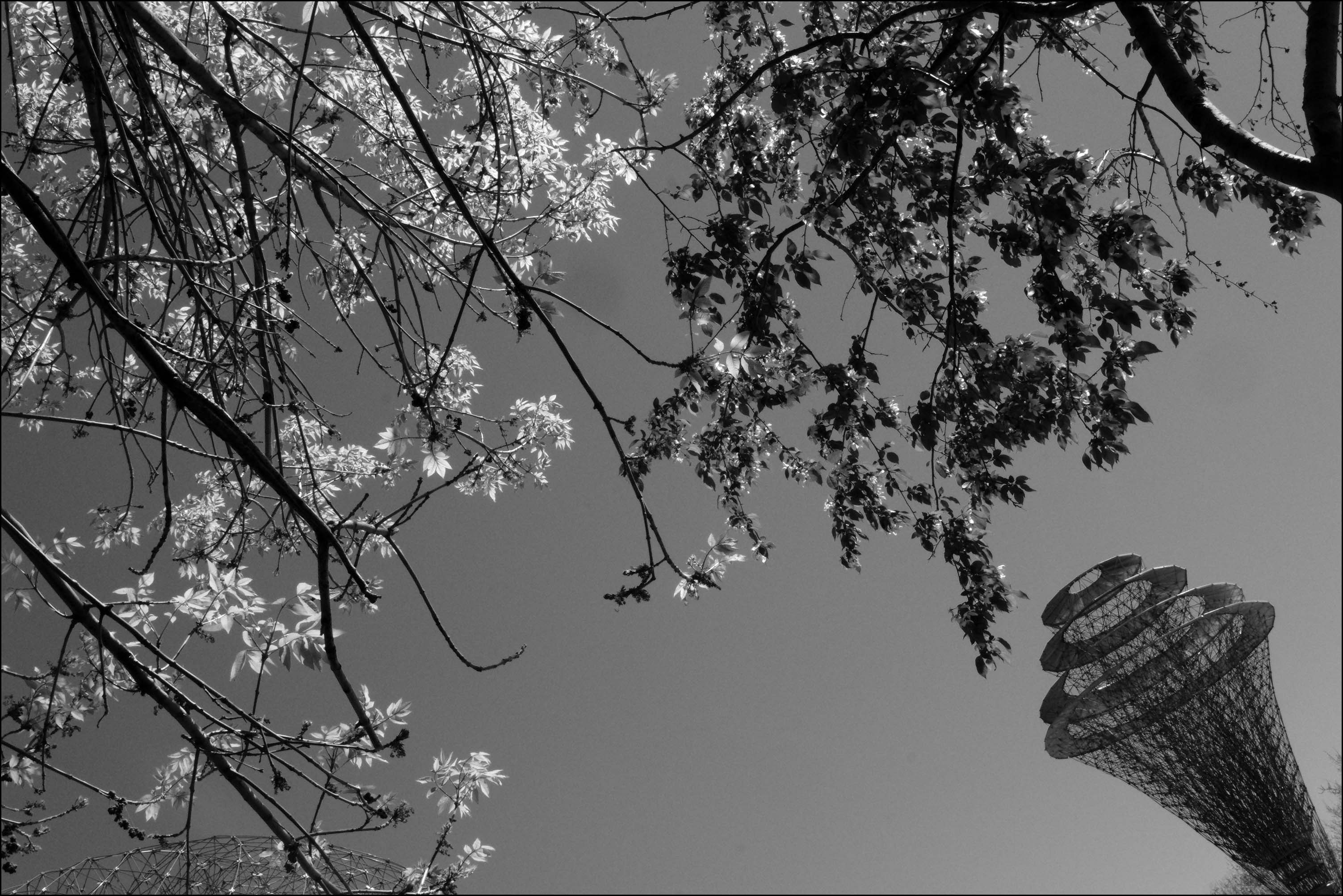 05.21.2023 – Jim Lee Photography