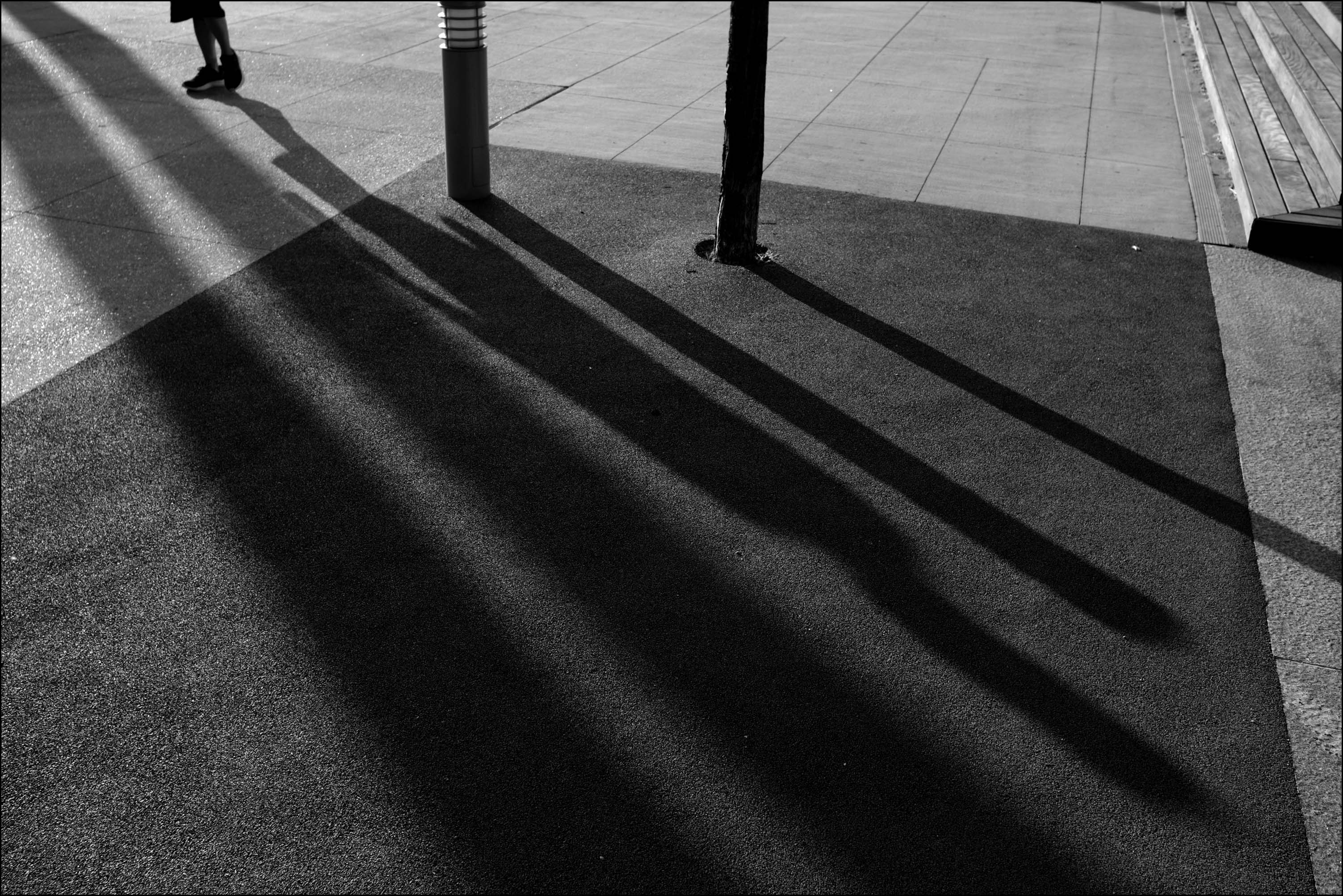 06.02.2023 – Jim Lee Photography