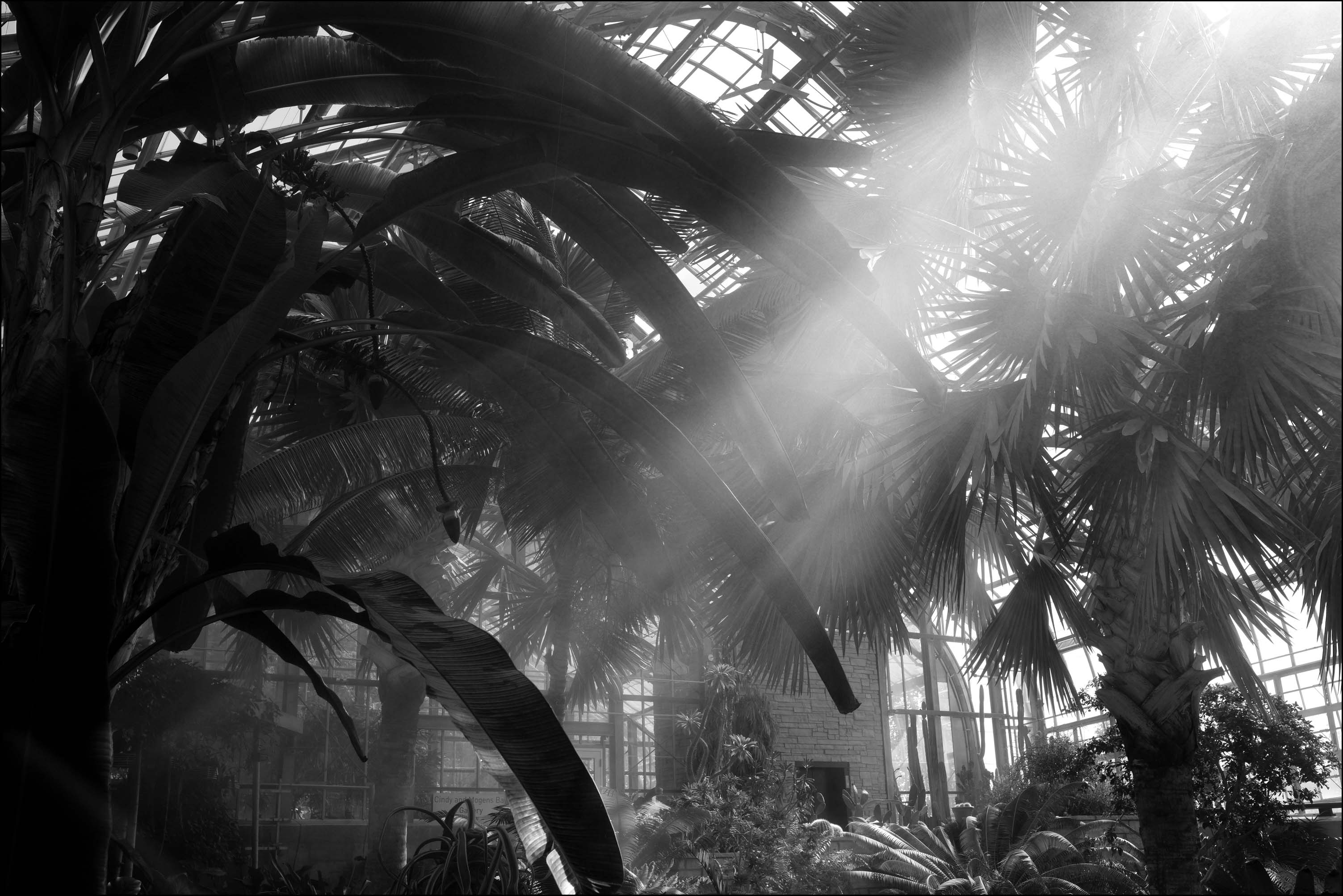 06.26.2023 – Jim Lee Photography