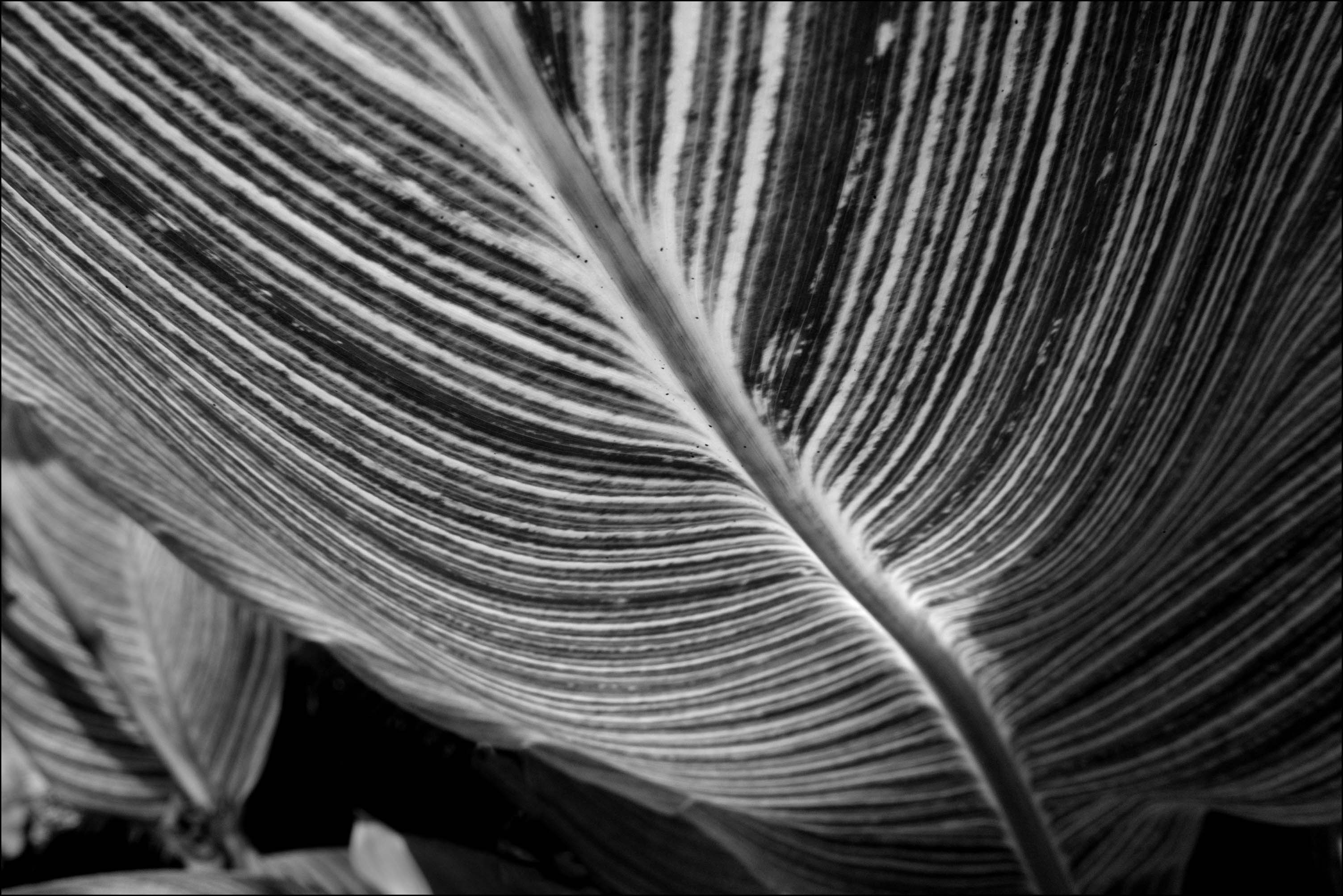 06.24.2023 – Jim Lee Photography