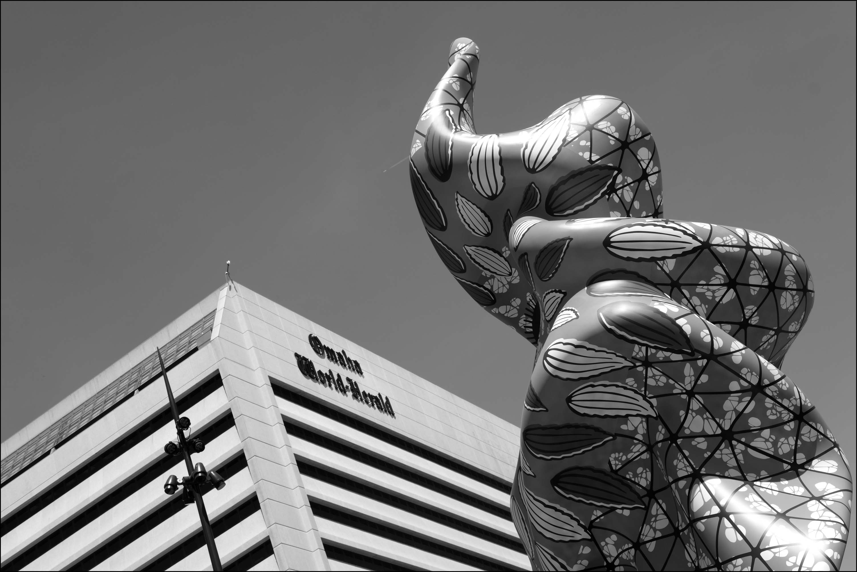 07.09.2023 – Jim Lee Photography