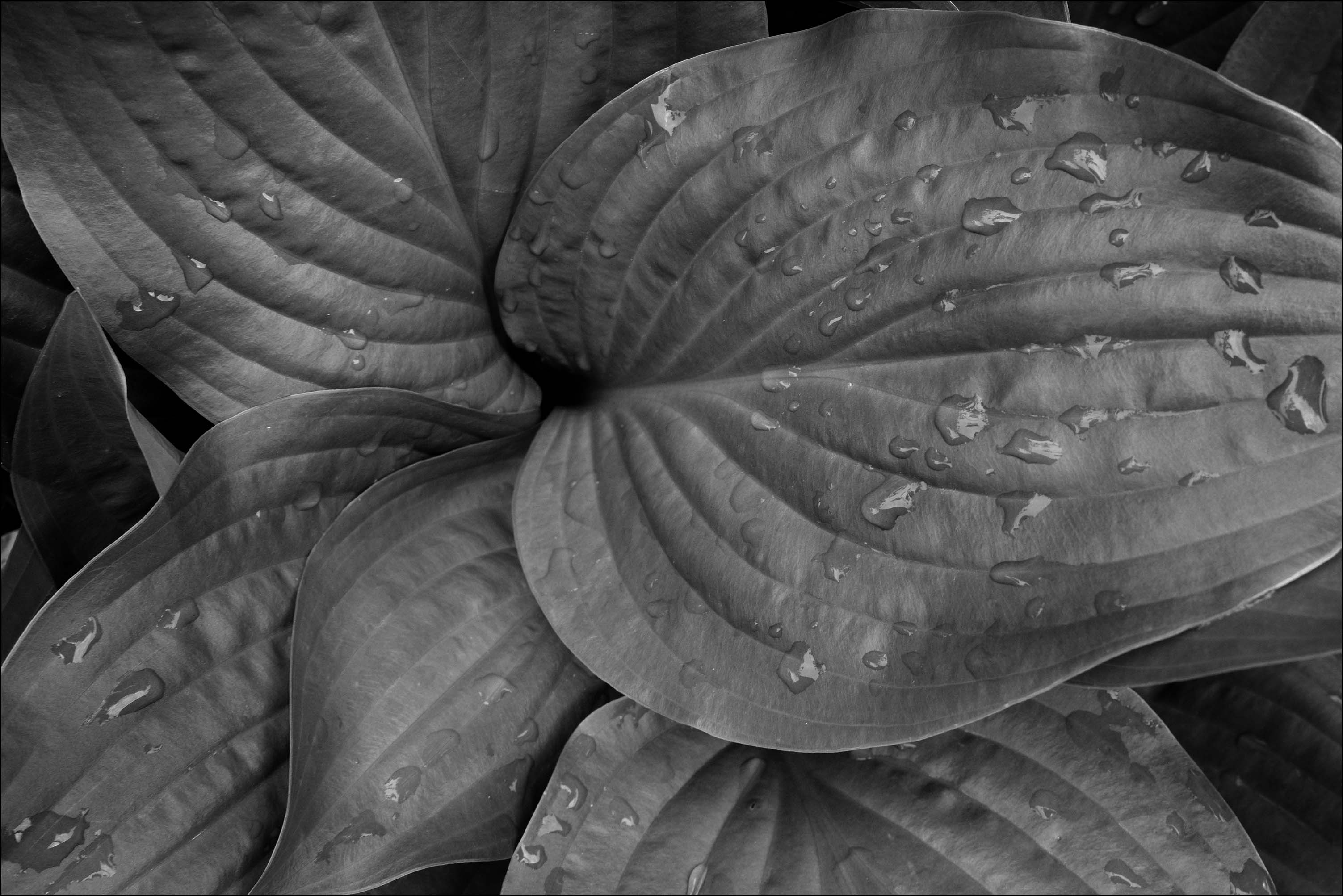 07.14.2023 – Jim Lee Photography