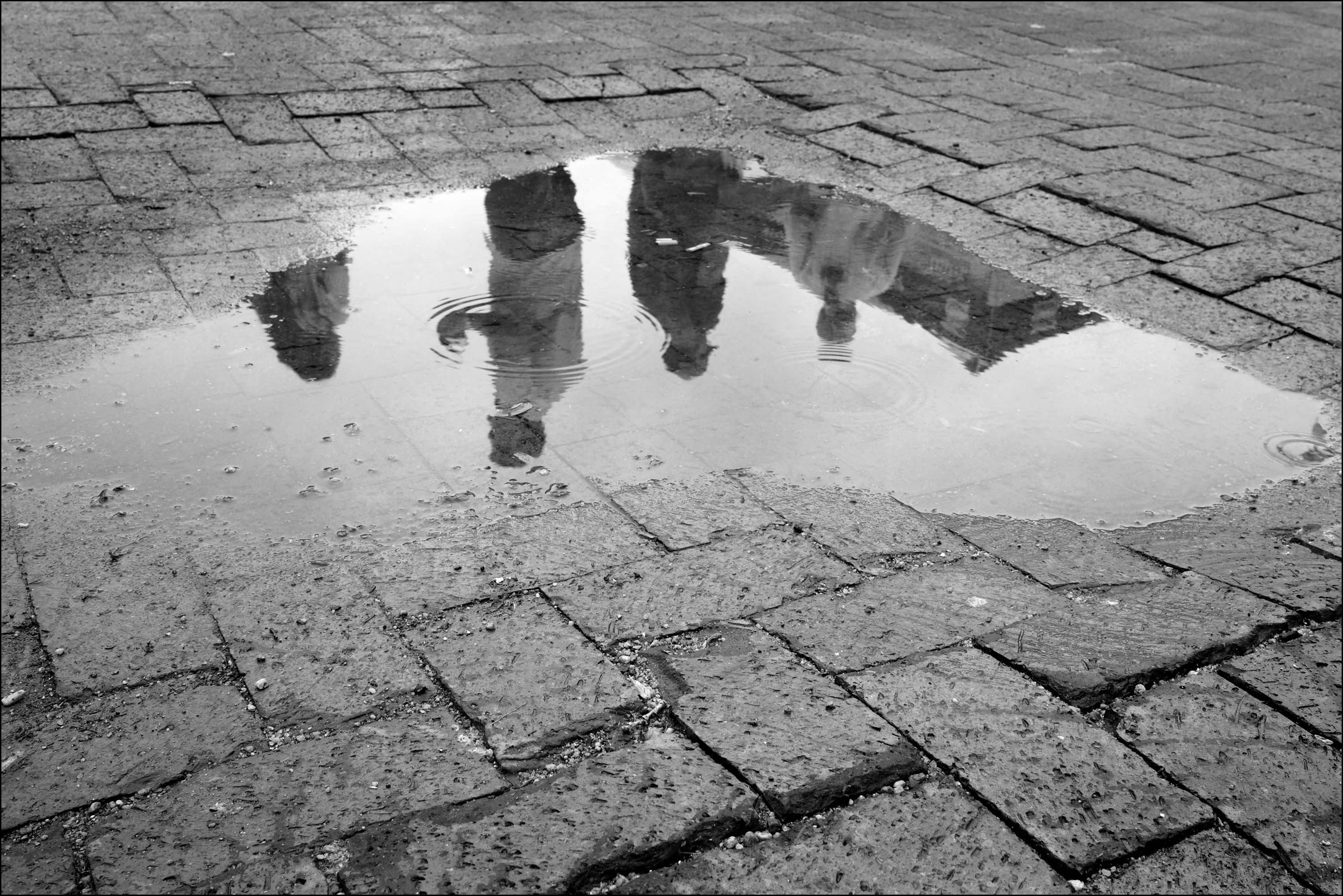 07.07.2023 – Jim Lee Photography