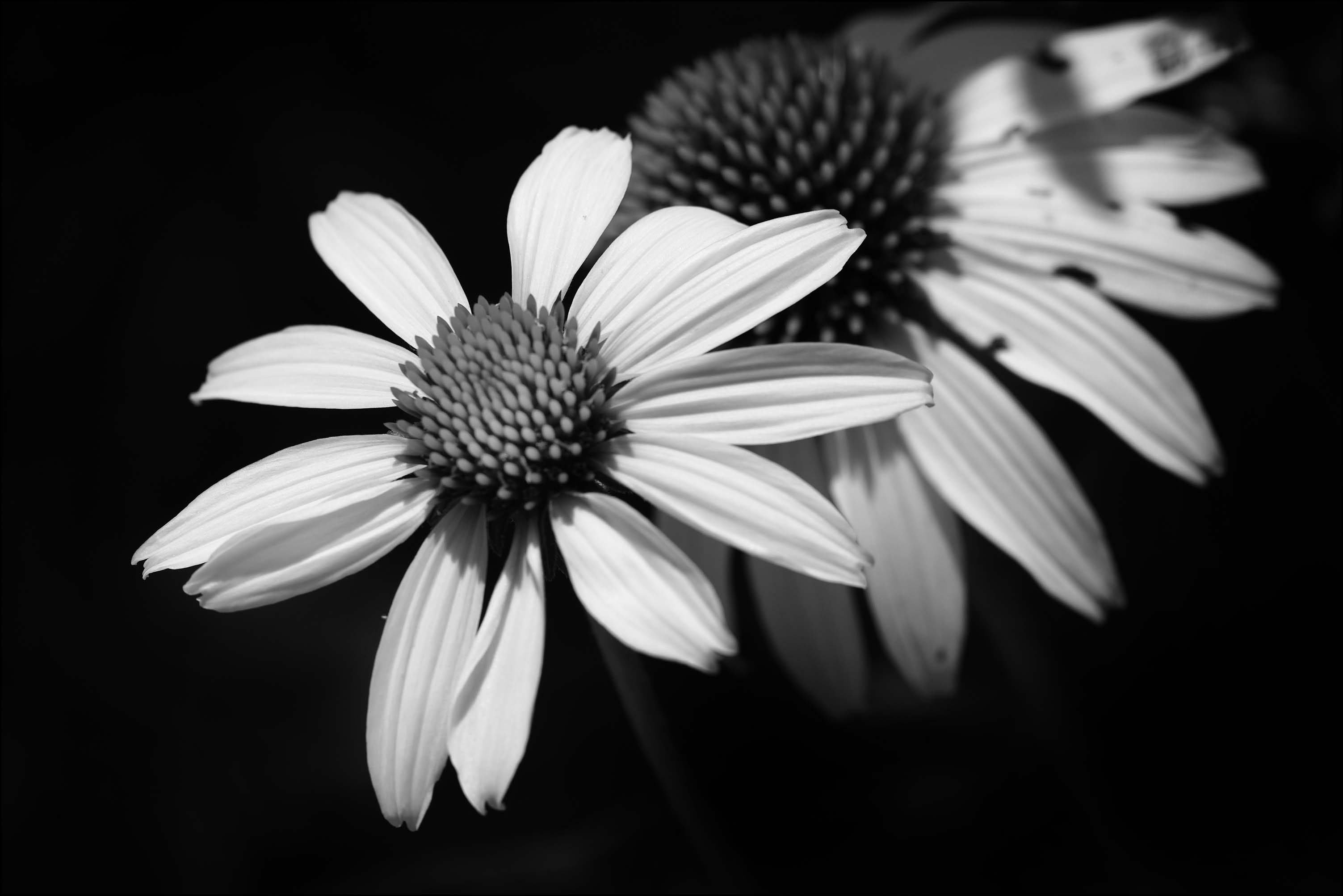 08.11.2023 – Jim Lee Photography