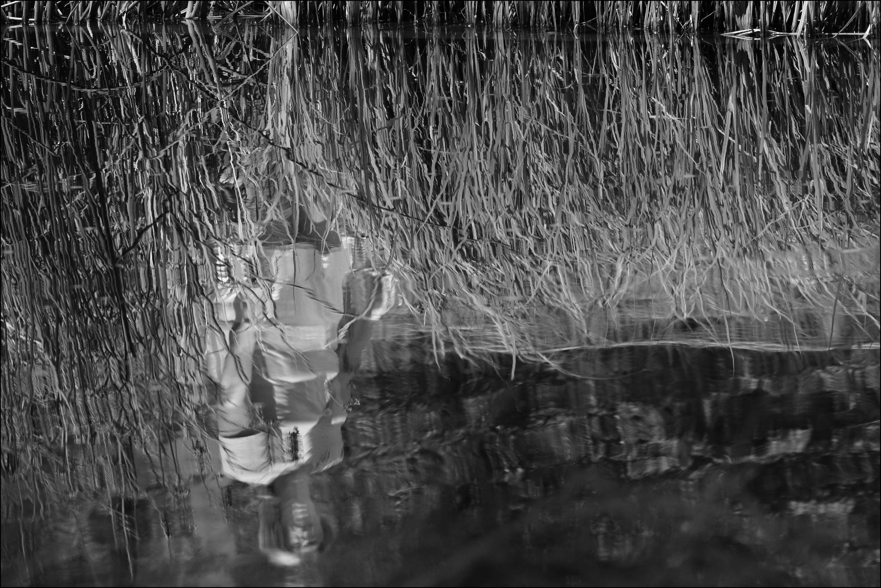 08.15.2023 – Jim Lee Photography