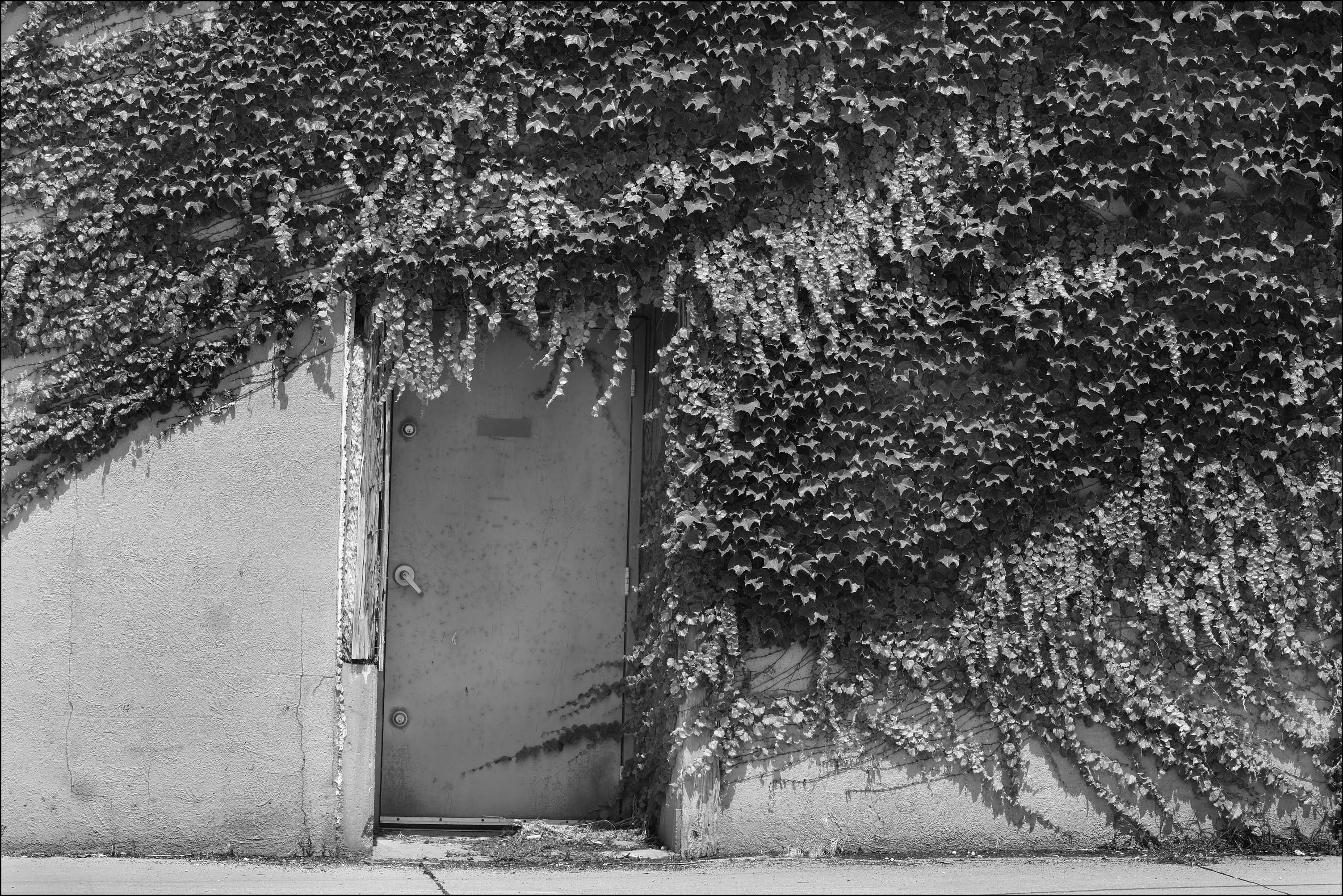 08.22.2023 – Jim Lee Photography