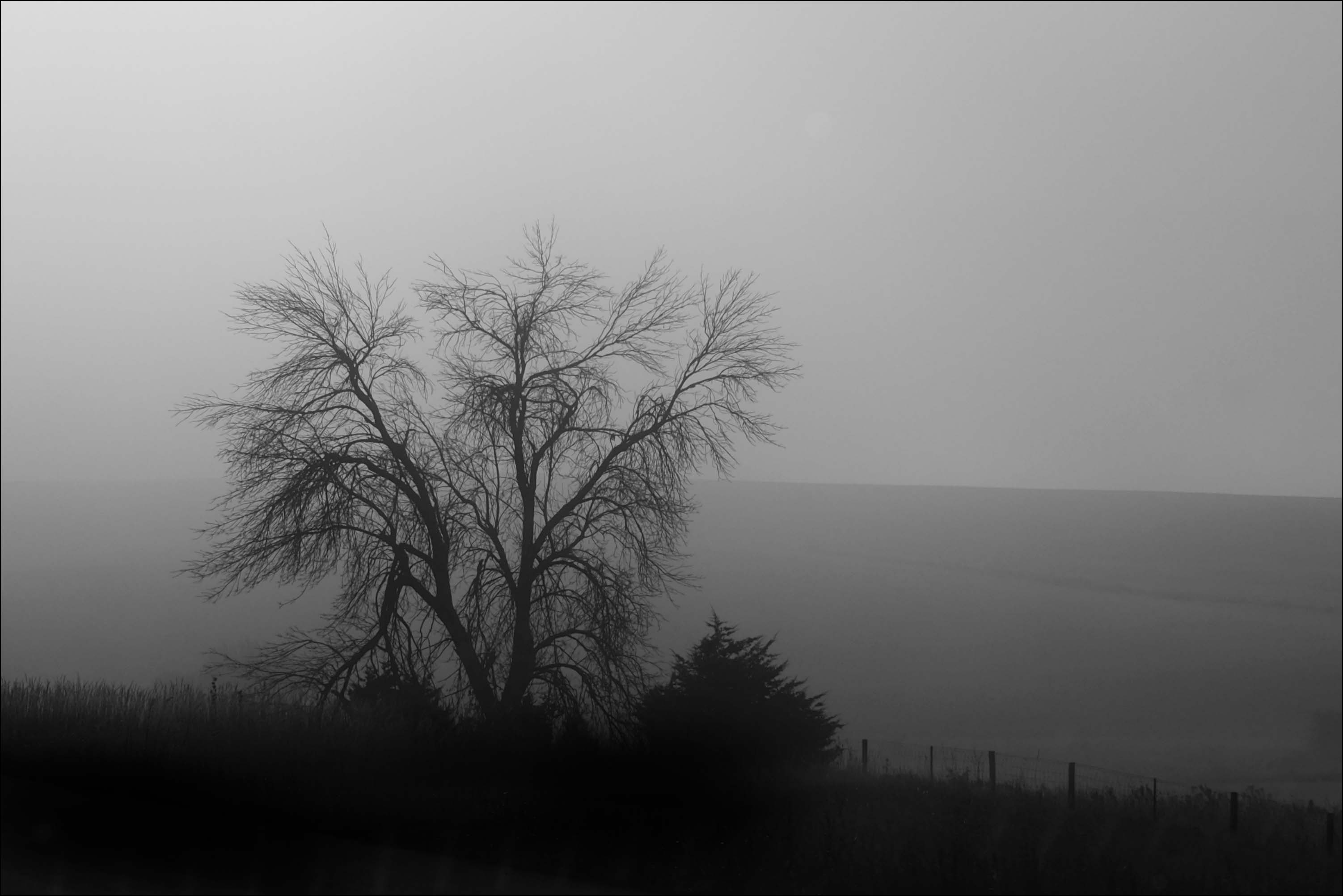 09.20.2023 – Jim Lee Photography