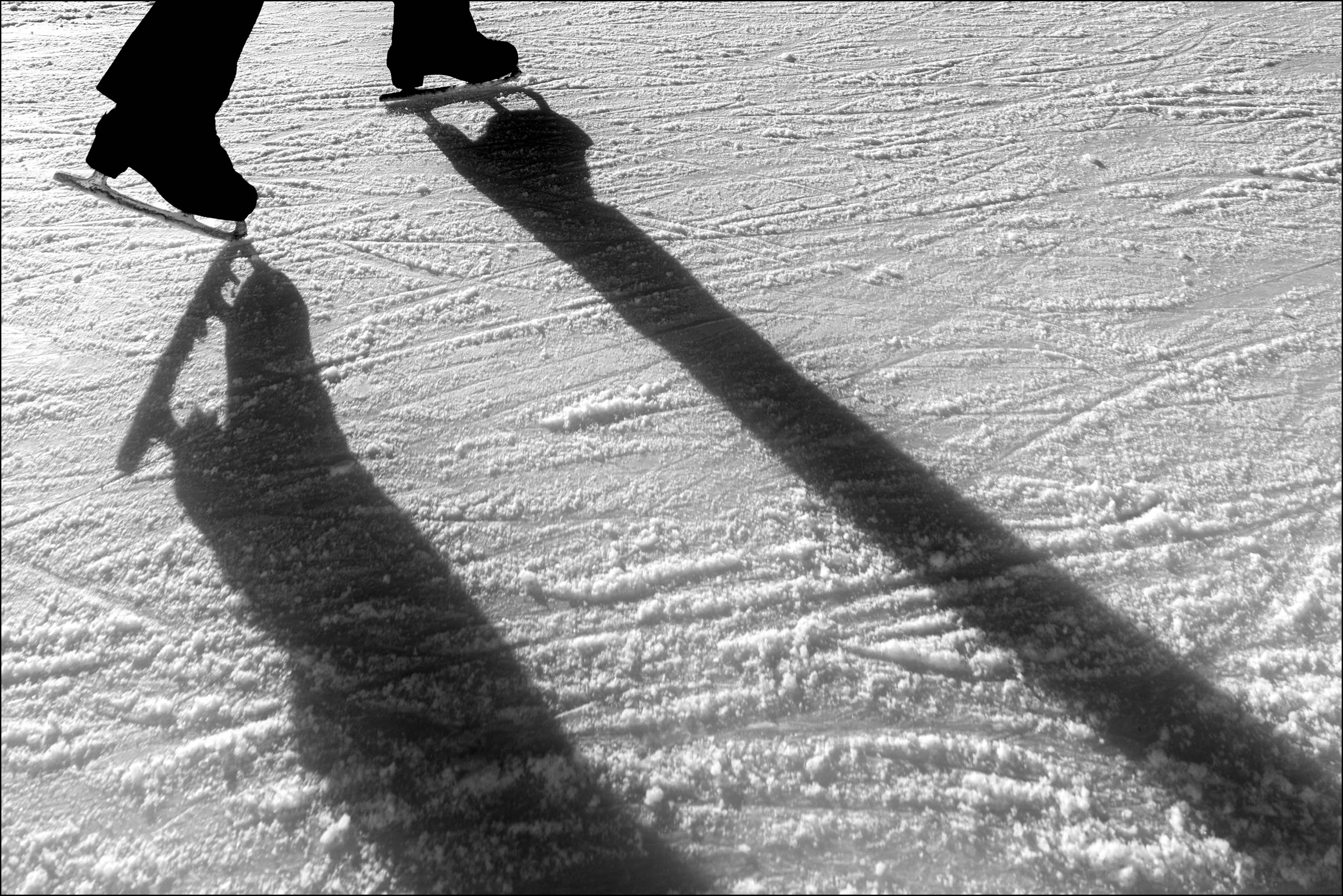 01.17.2024 – Jim Lee Photography