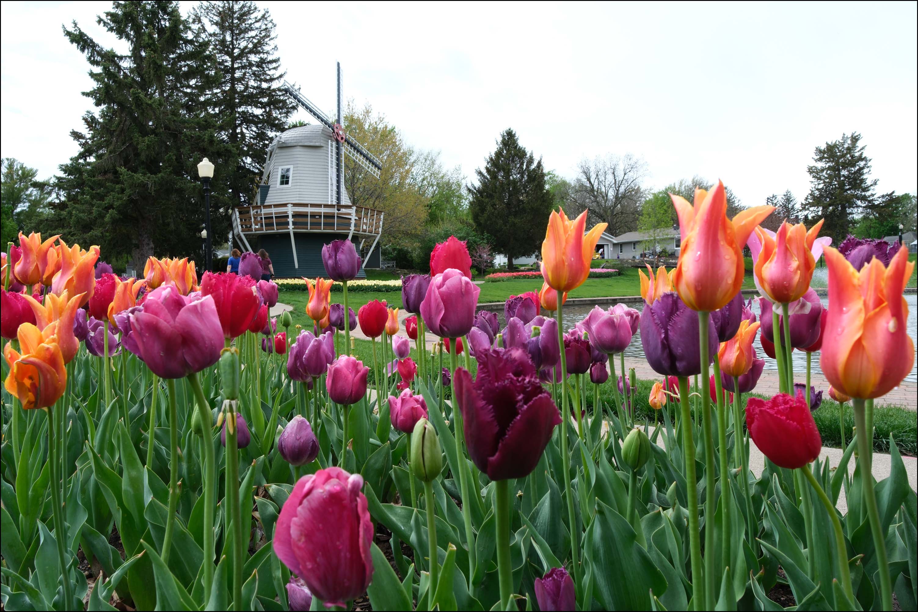 Pella – Jim Lee Photography