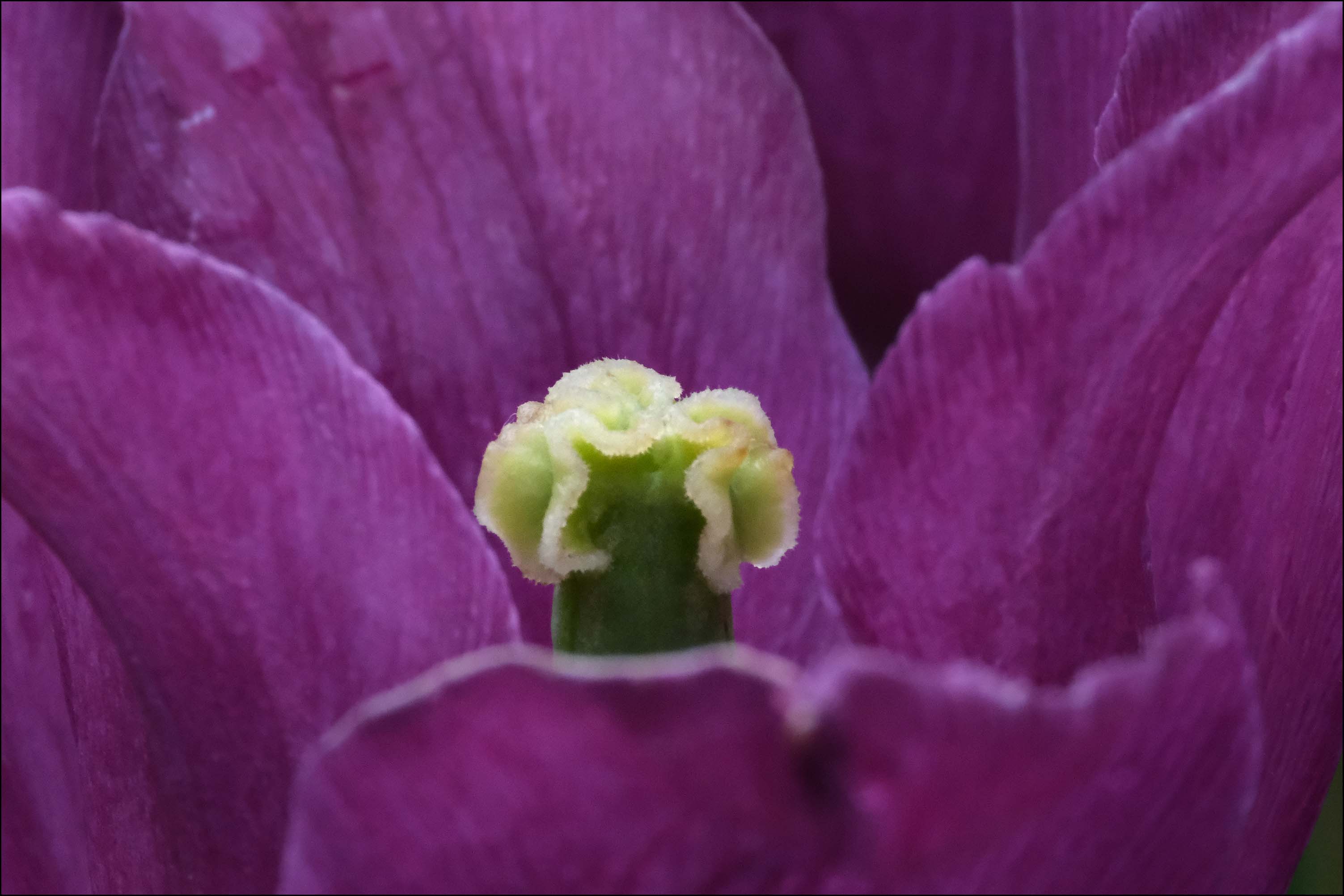 Pella – Jim Lee Photography