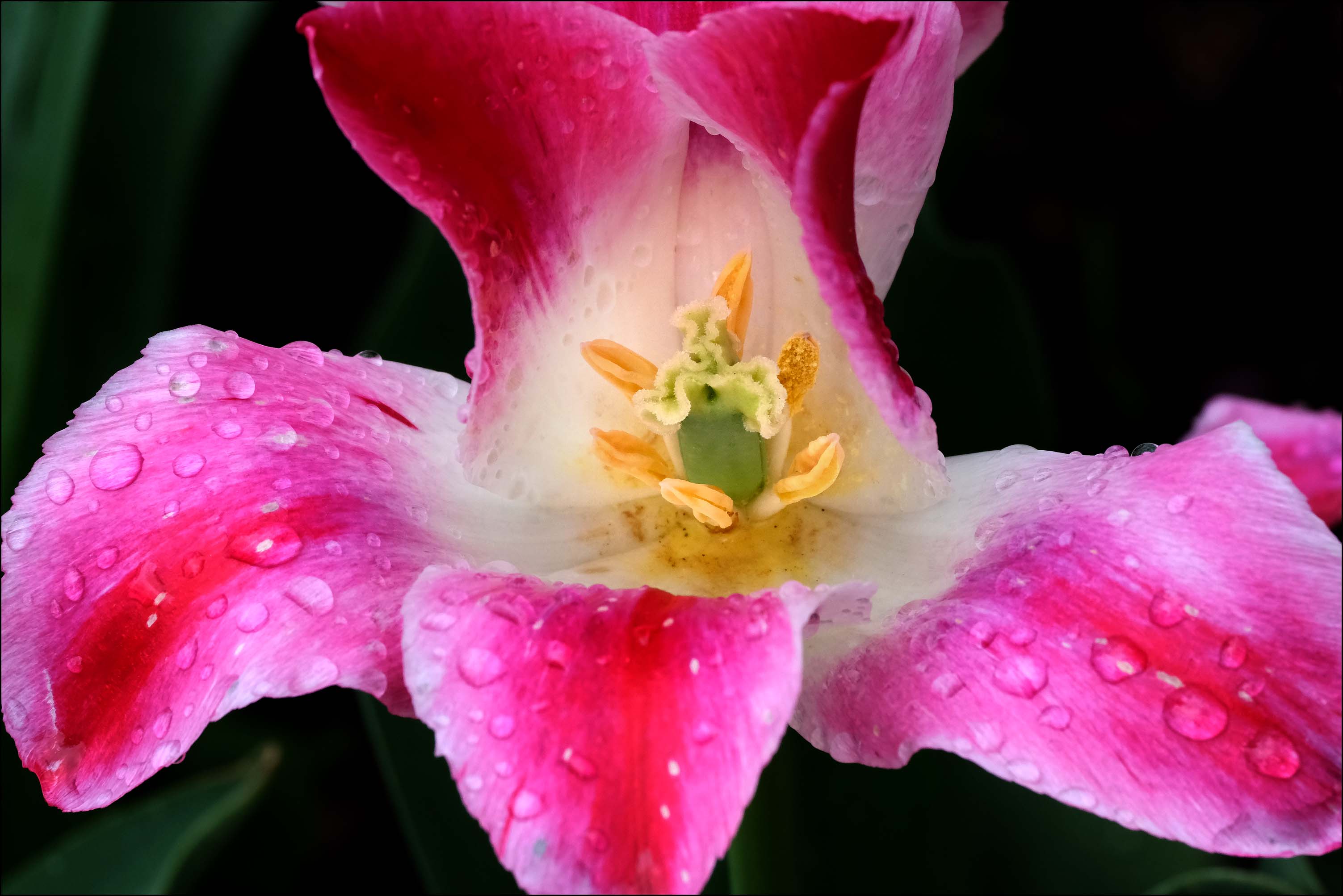 Pella – Jim Lee Photography