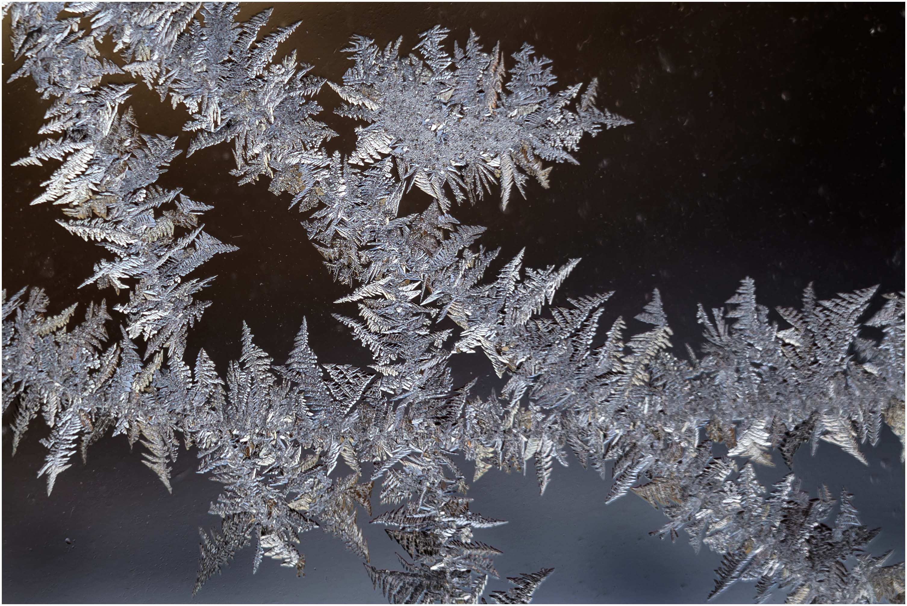 Frost – Jim Lee Photography