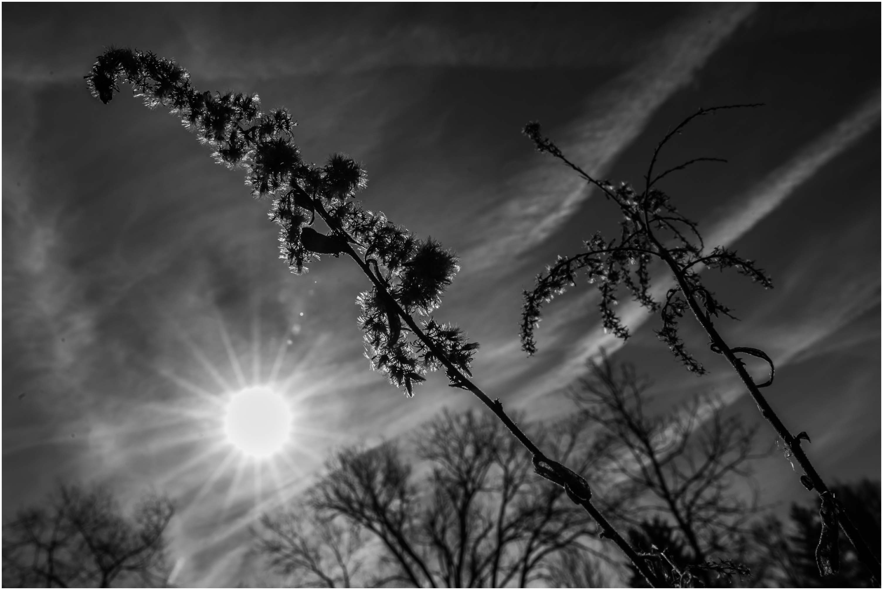 Easter Lake Park – Jim Lee Photography