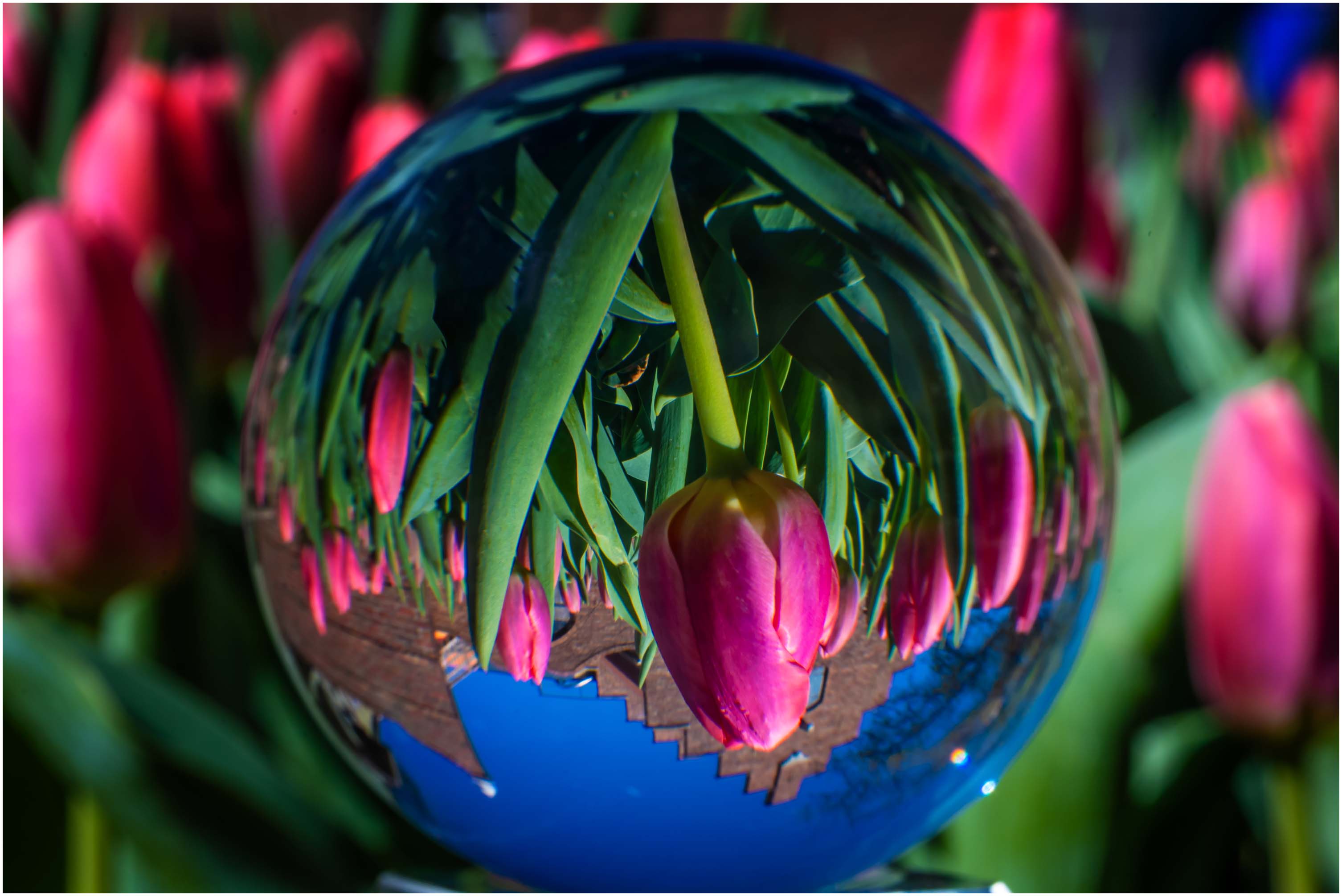 Pella – Jim Lee Photography