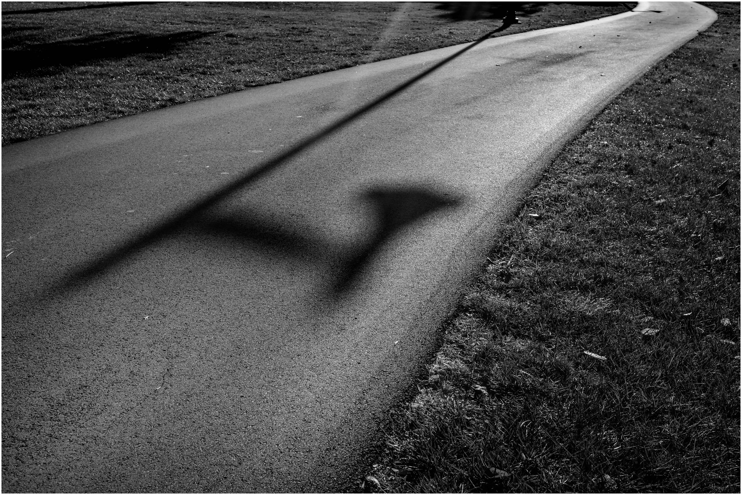 Trail Shadow – Jim Lee Photography