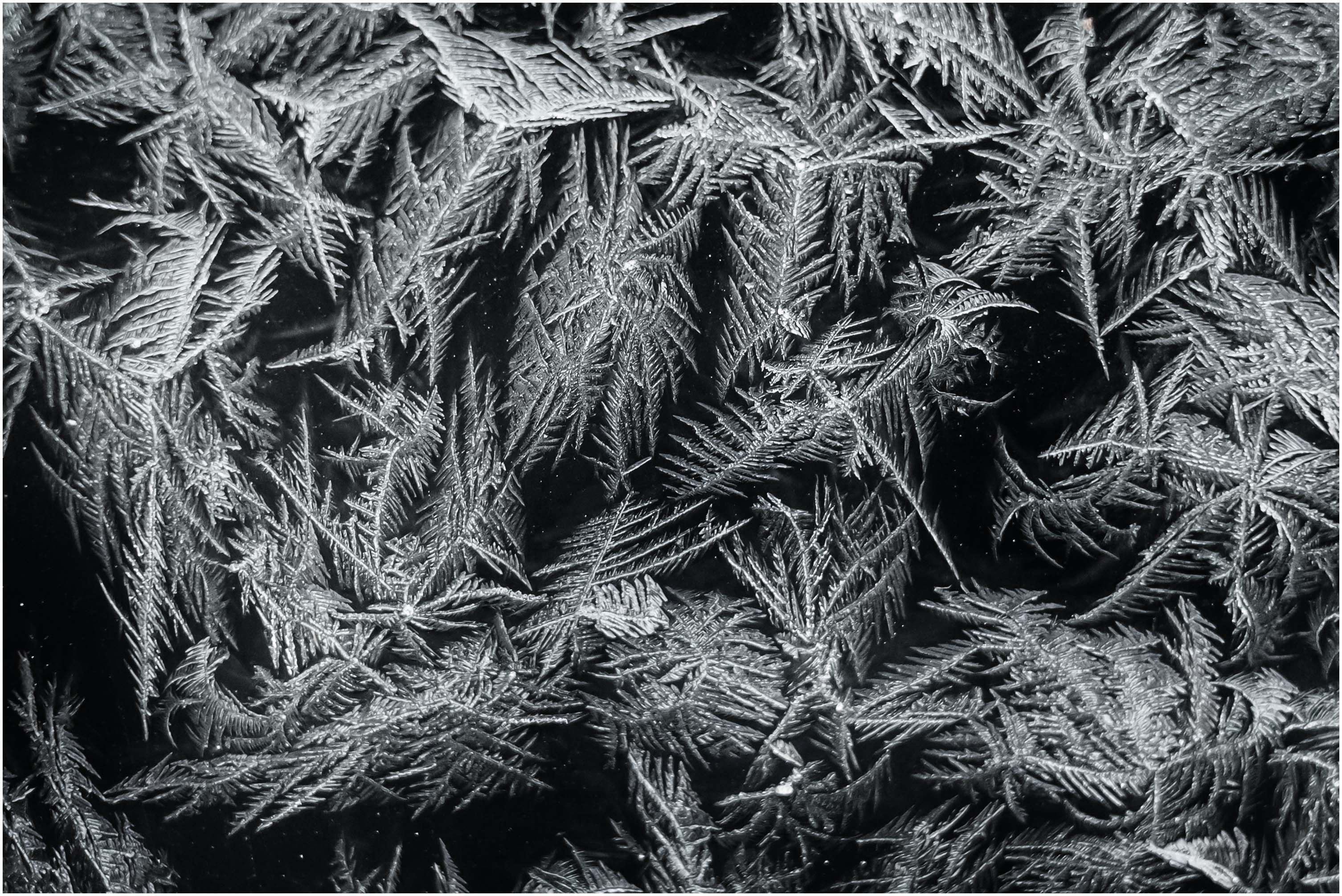 Frost – Jim Lee Photography