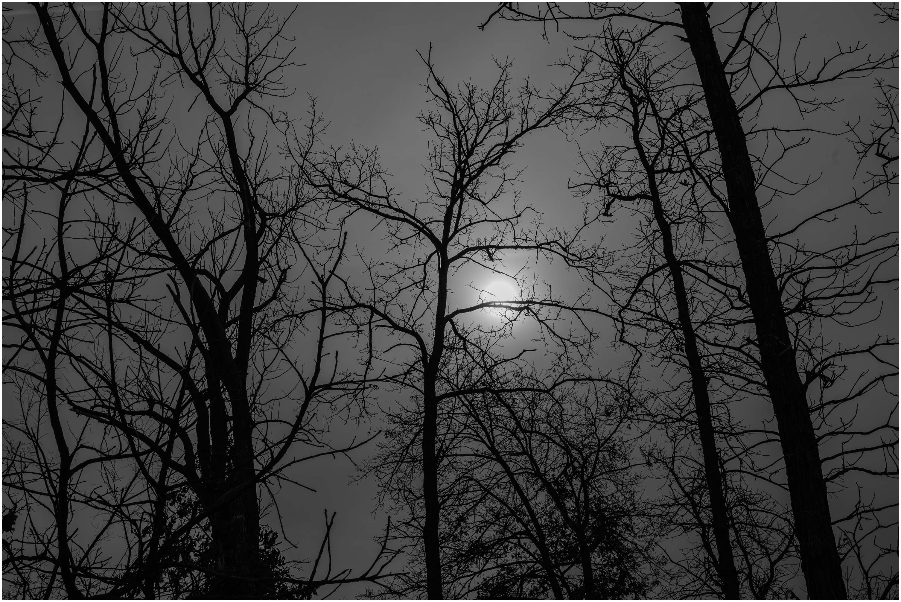 B&W January #8 – Jim Lee Photography